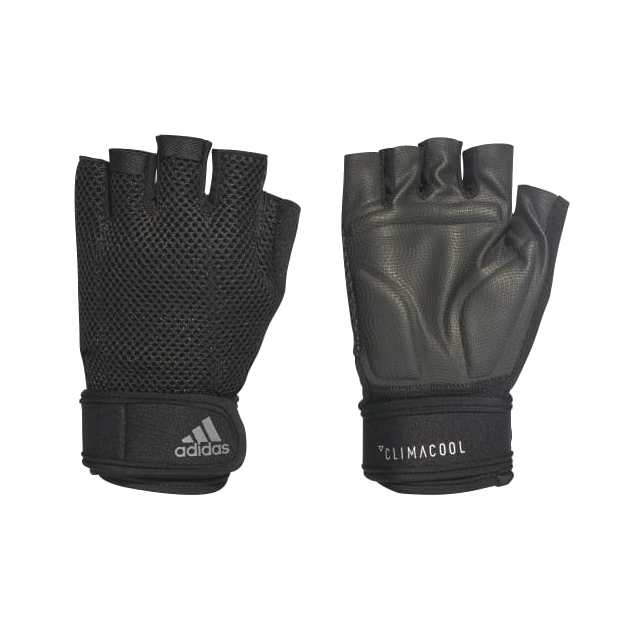 Mens Accessories - Only Fit Gear